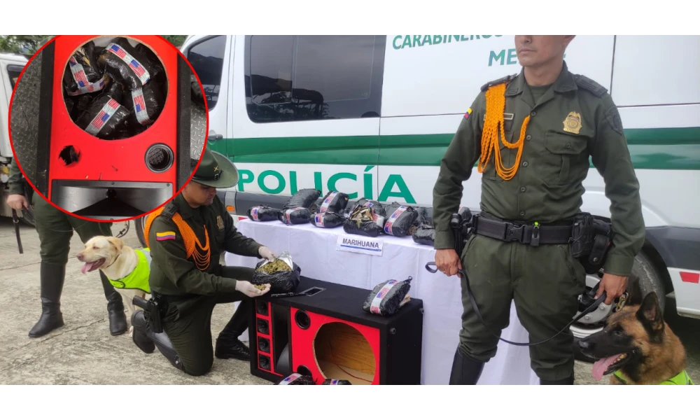 Policía descubrió caleta con 14.200 gramos de estupefacientes en un ...